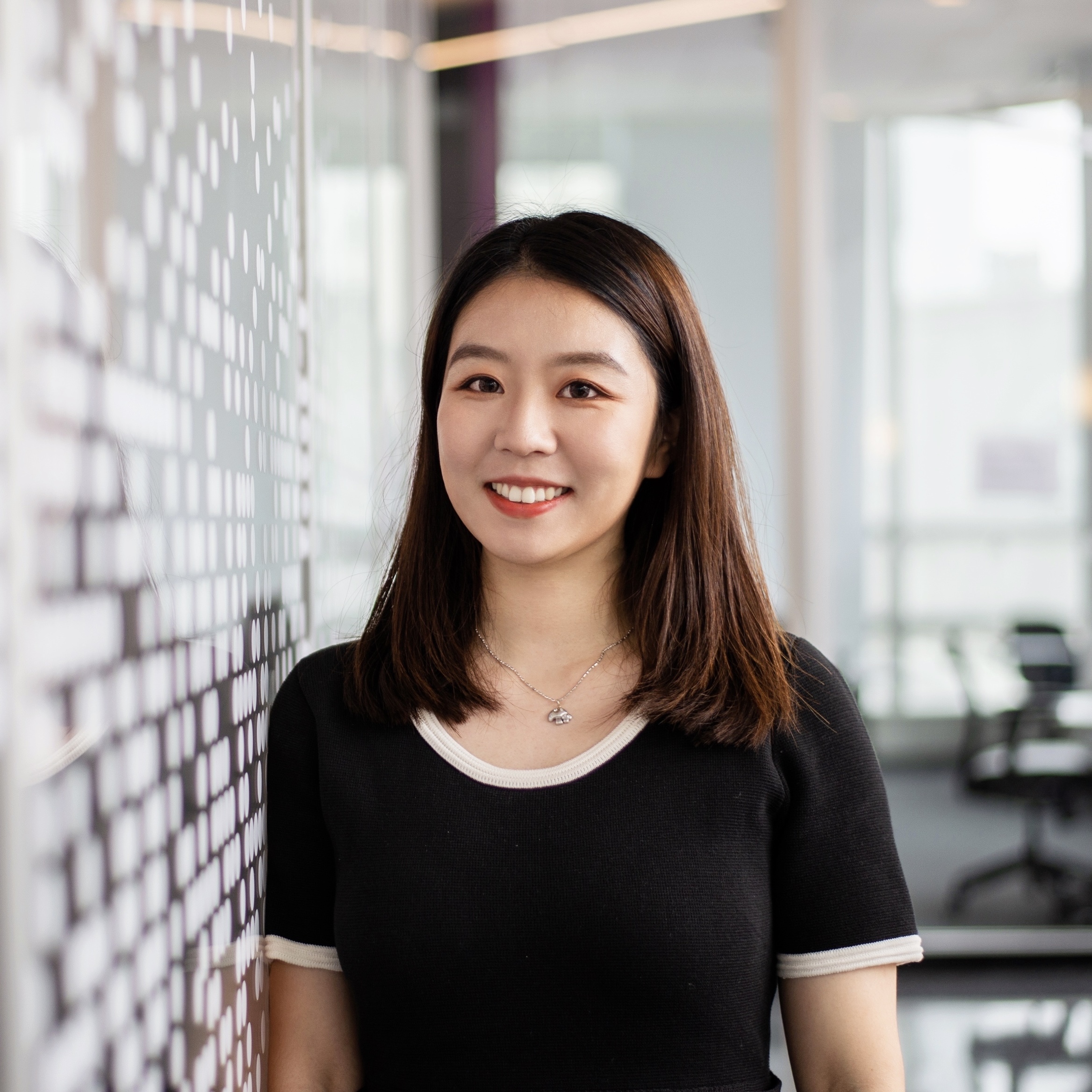 Northeastern University Human-Centered Artificial Intelligence Lab (NEU HAI)