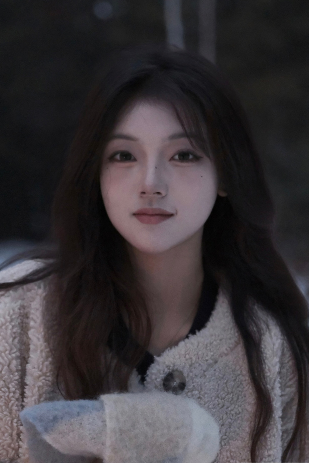 Northeastern University Human-Centered Artificial Intelligence Lab (NEU HAI)