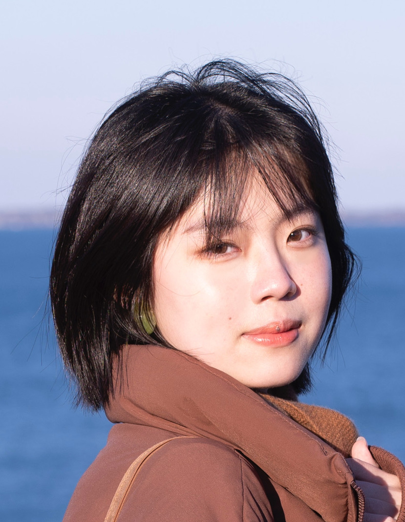 Northeastern University Human-Centered Artificial Intelligence Lab (NEU HAI)